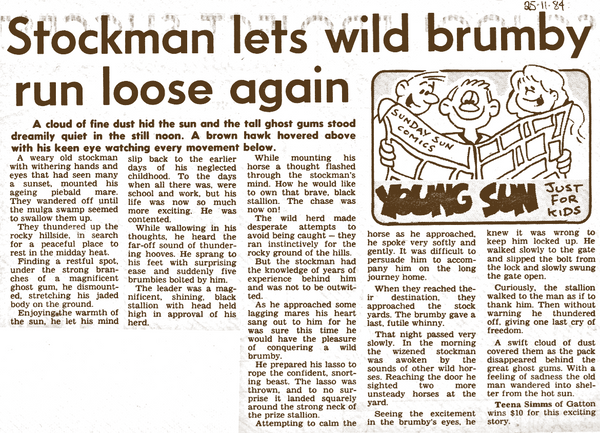 The Wild Brumby - Surf meets Southwest